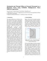 Mechanical and thermal effects of focused ultrasound on a biological ...